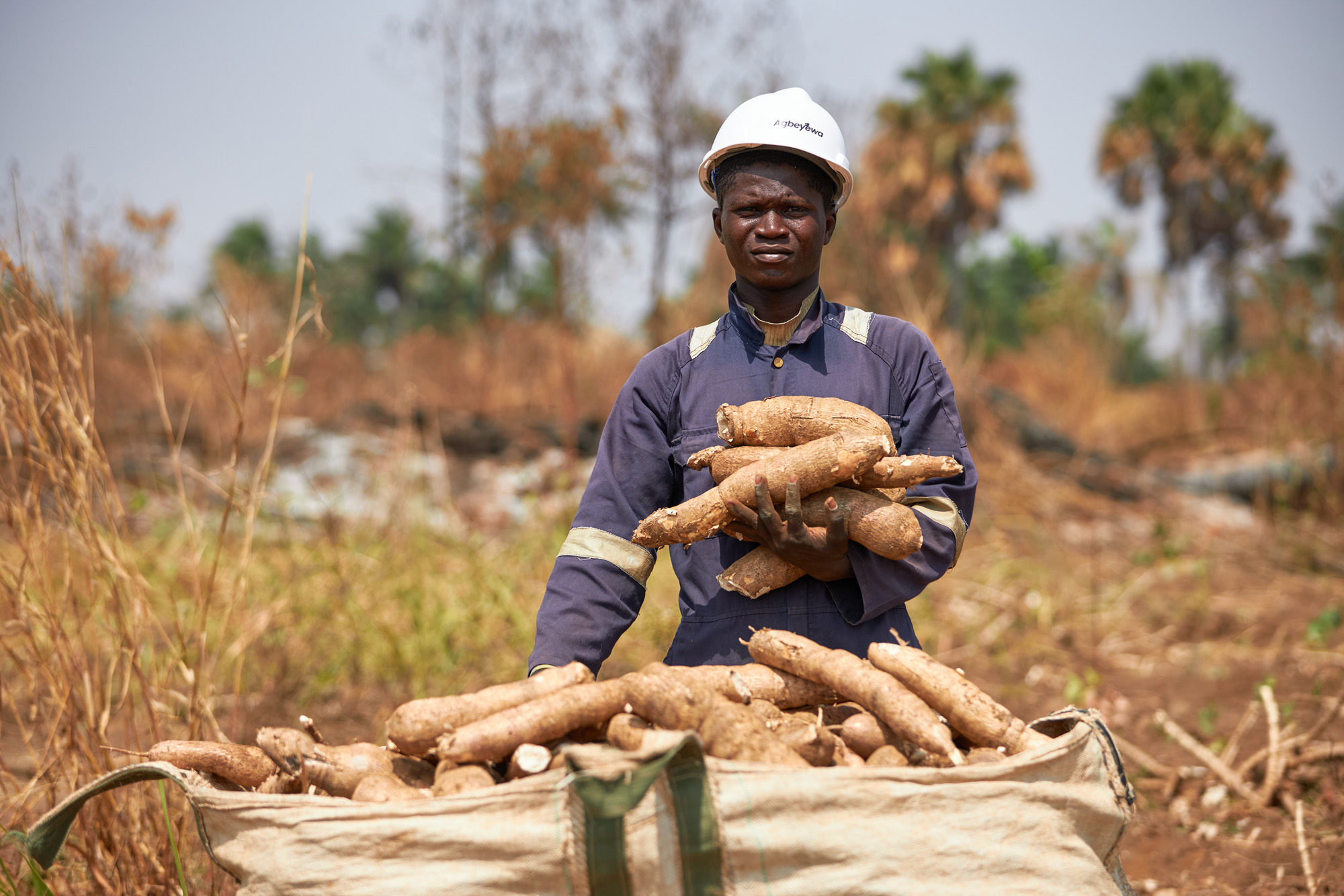 Operations - Agbeyewa Farms